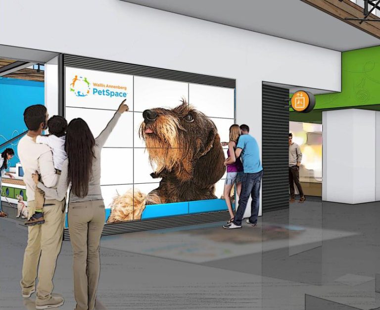 The Wallis Annenberg PetSpace - Blog - MATT Construction