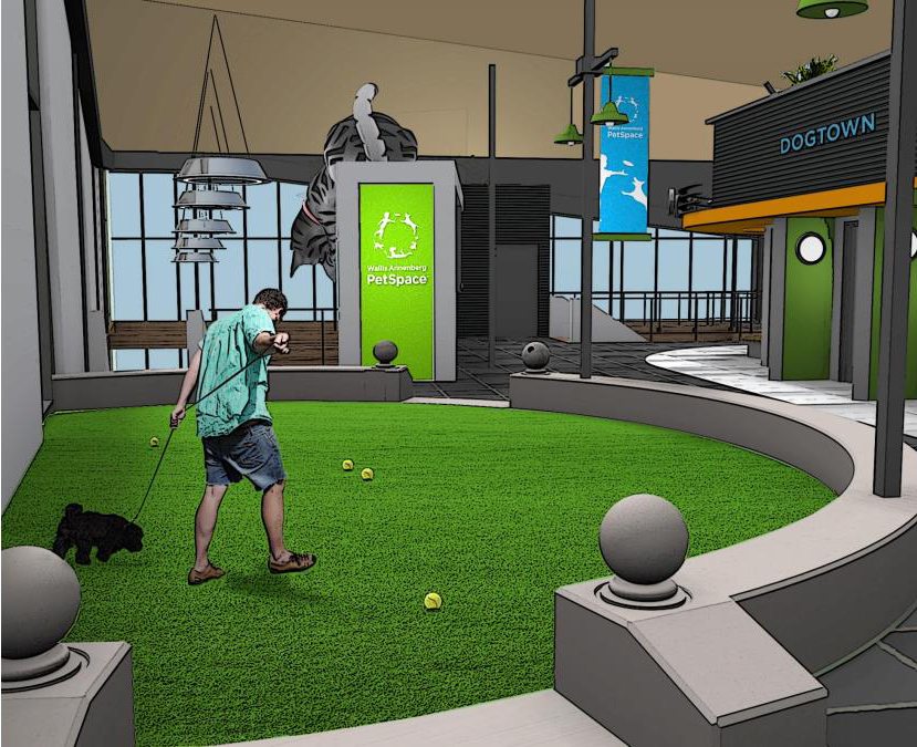 Wallis Annenberg PetSpace is Coming to Playa Vista | MATT Construction
