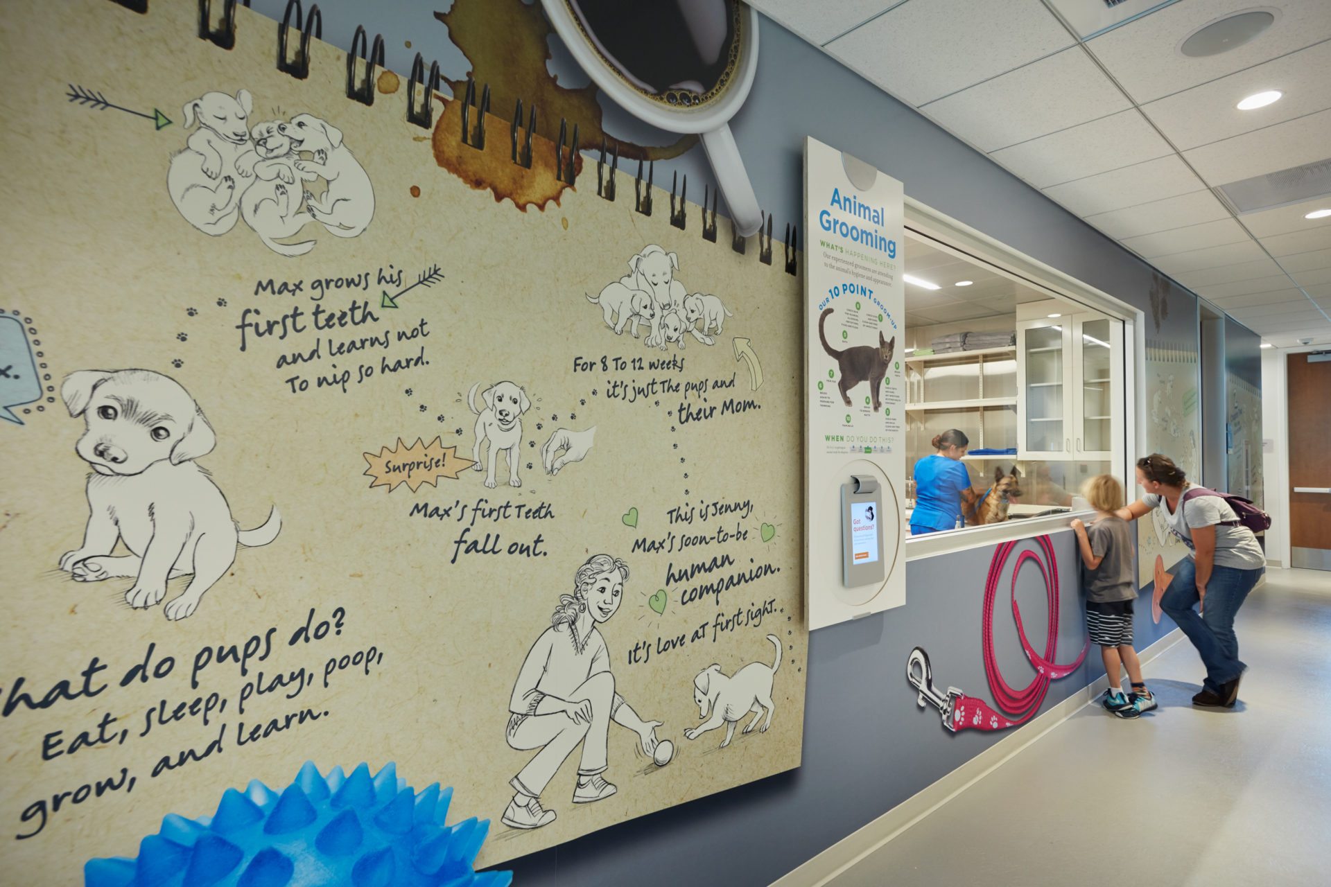 The Wallis Annenberg PetSpace - Blog - MATT Construction