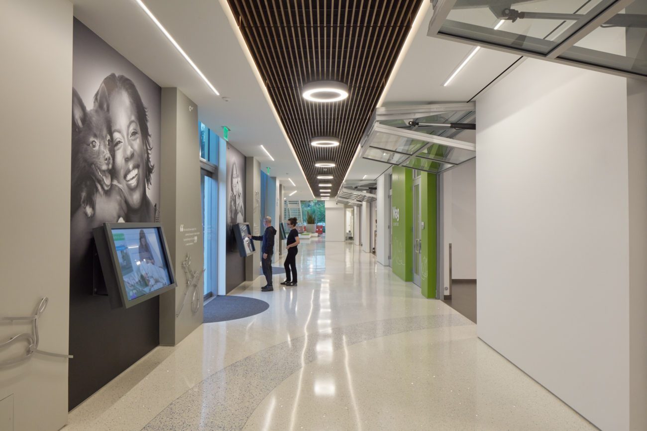 Annenberg PetSpace - Projects - MATT Construction