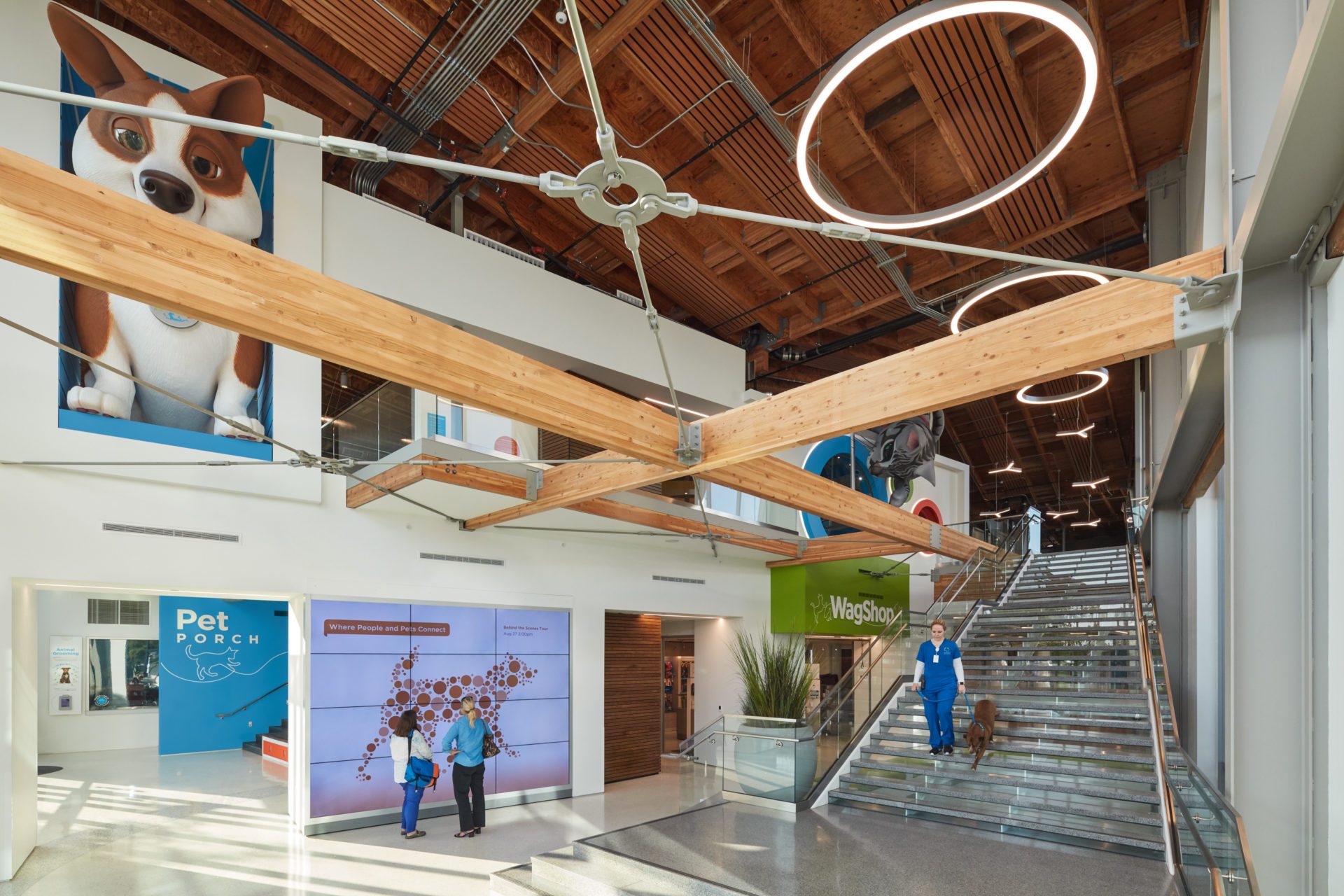 The Wallis Annenberg PetSpace - Blog - MATT Construction