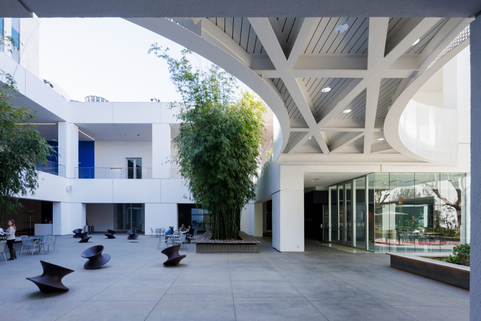 Hammer Museum Transformation - Projects - MATT Construction