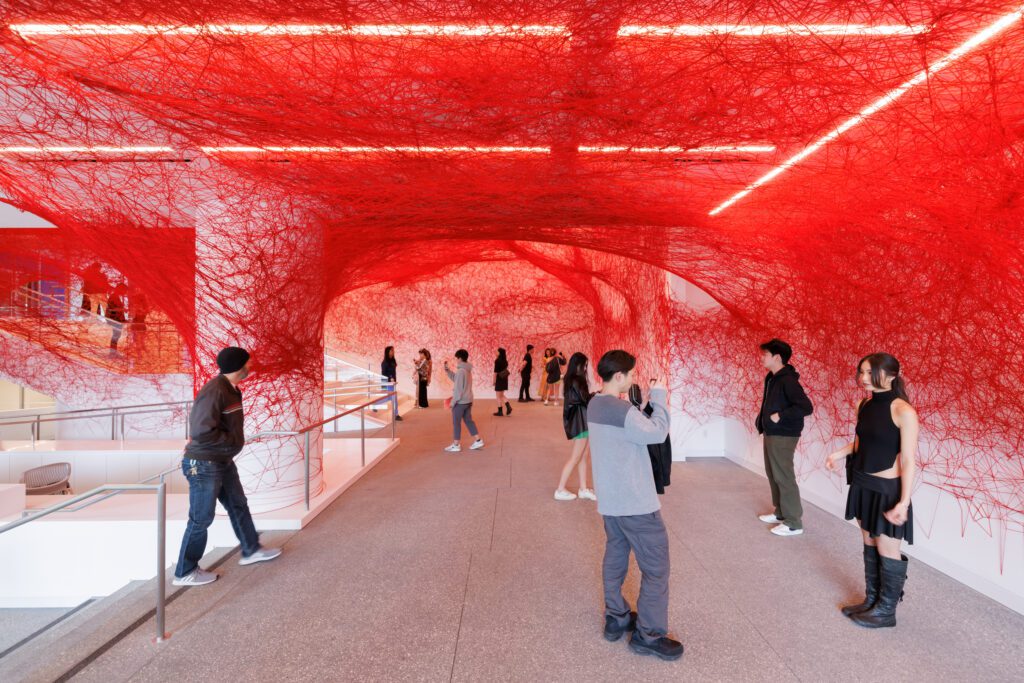 Two-Decade Long Hammer Museum Transformation Comes to Fruition - Blog ...