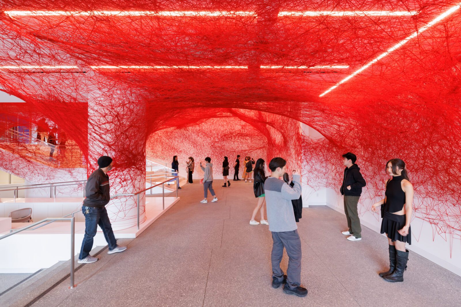 Two-Decade Long Hammer Museum Transformation Comes to Fruition - Blog ...